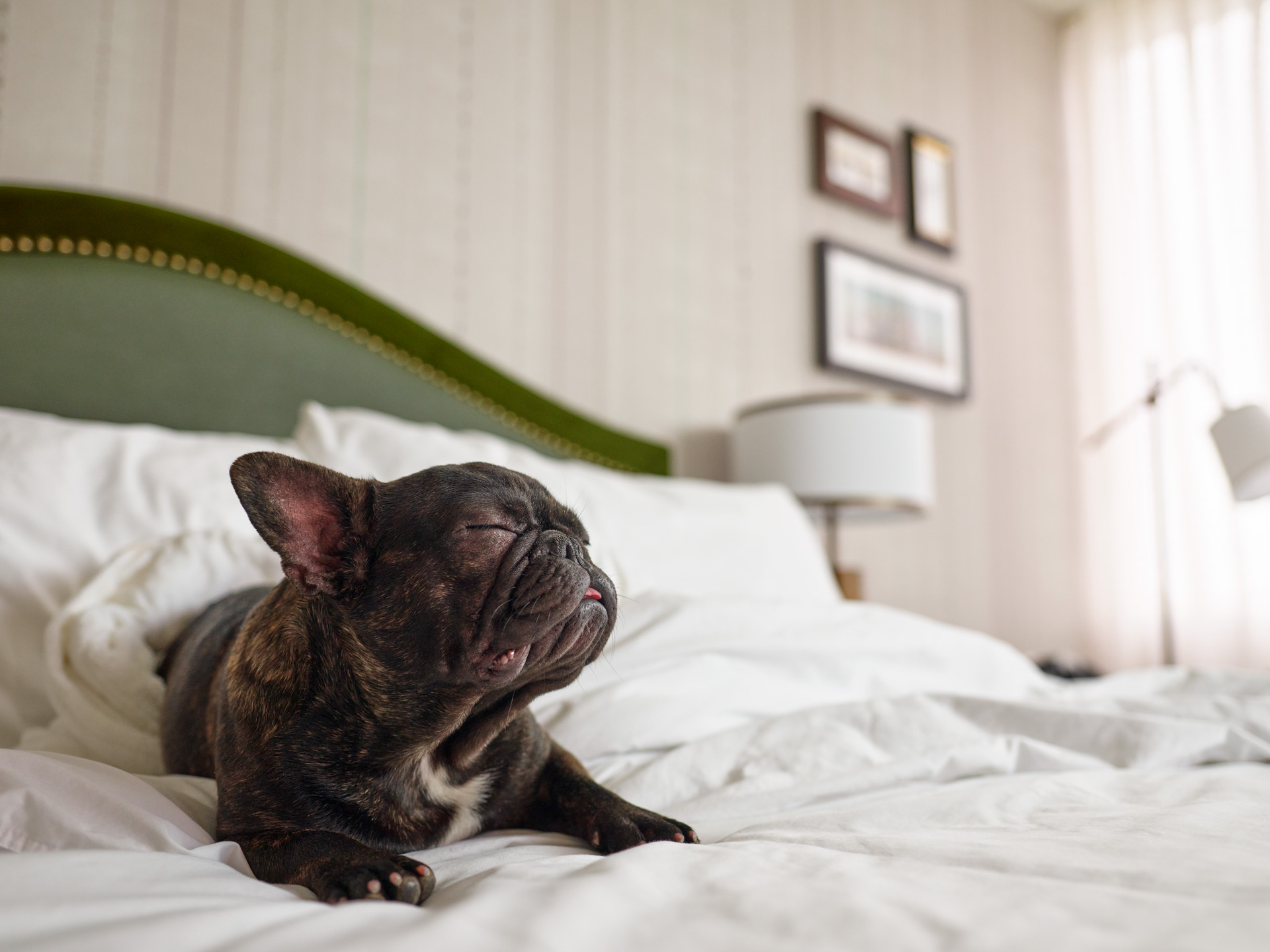 Opwest Partners | Multi-disciplined Investment & Development Firm